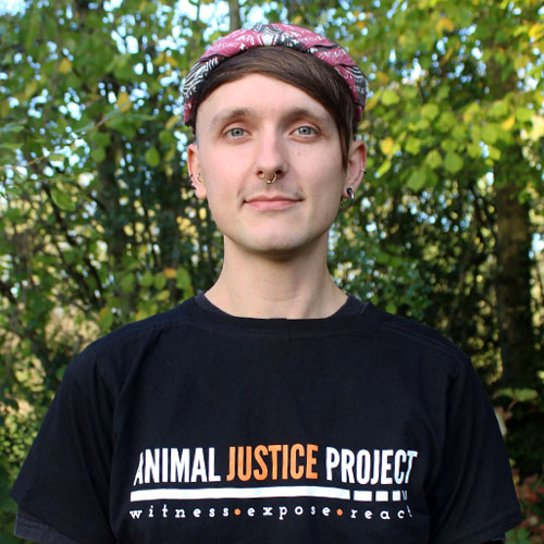Animal Justice Project Team