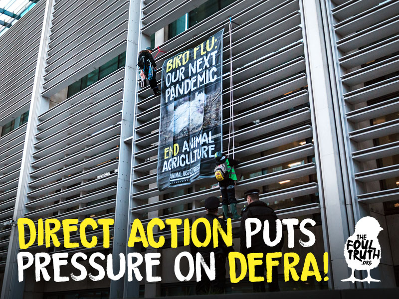 Activists scale Defra HQ, demanding an end to animal agriculture!