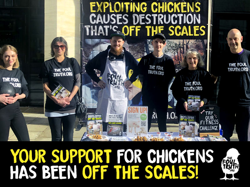 Your support for chickens has been OFF THE SCALES