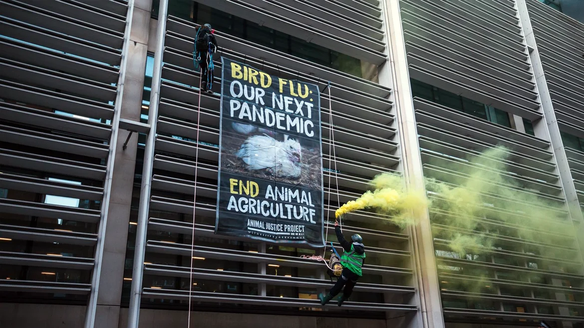 ANIMAL RIGHTS ACTIVISTS SCALE DEFRA BUILDING TO DRAW ATTENTION TO BIRD ...