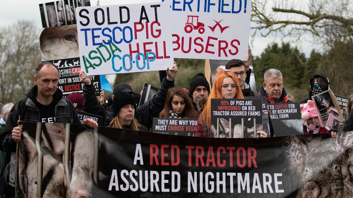 ACTIVISTS GATHER AT CONTROVERSIAL WARWICKSHIRE PIG FARM TO PROTEST AND ...