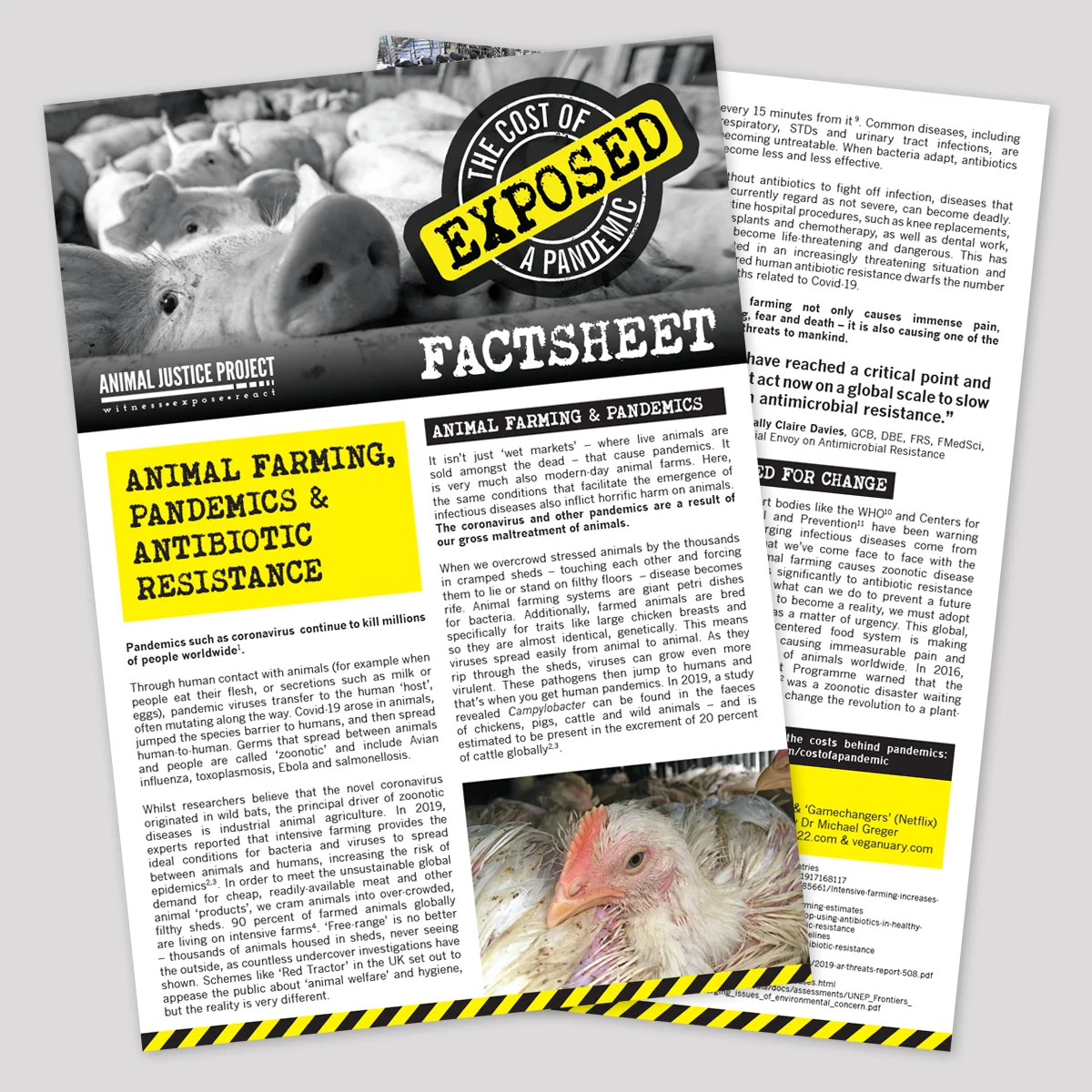 Downloadable A4 Exposed factsheet