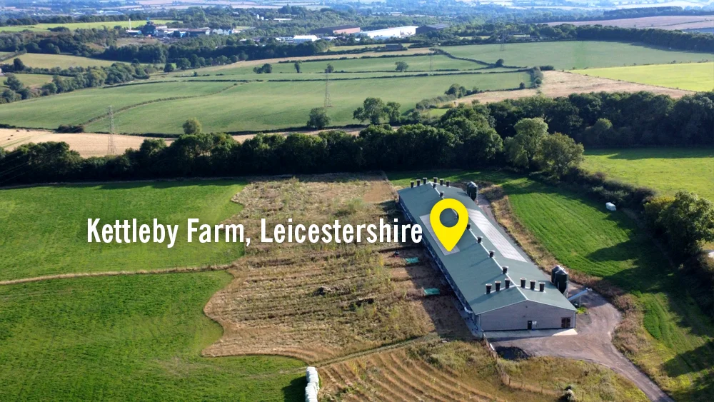 RSPCA Assured Chicken Catchers