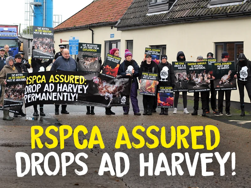 RSPCA Assured drops AD Harvey!