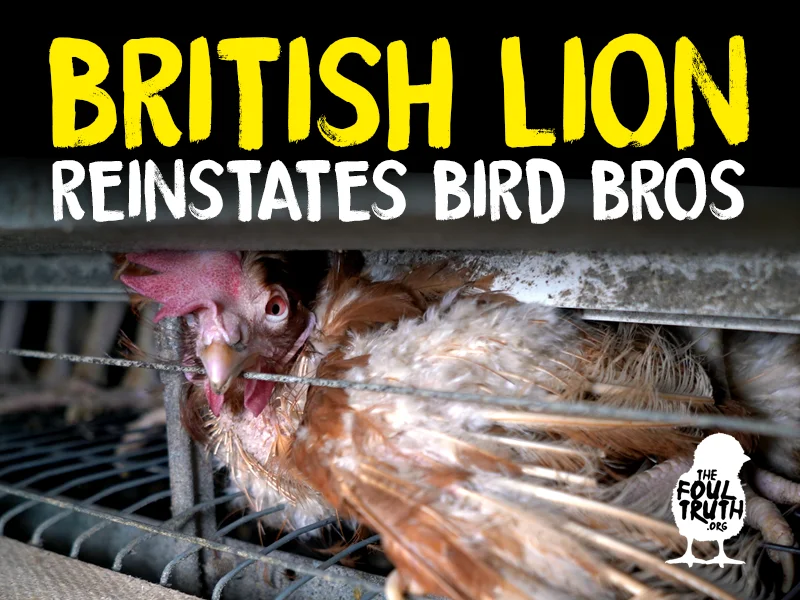 British Lion reinstates Bird Bros