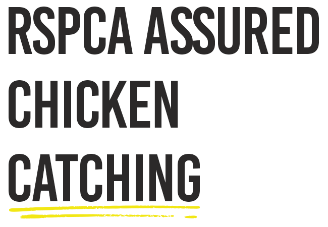 RSPCA Assured Chicken Catchers