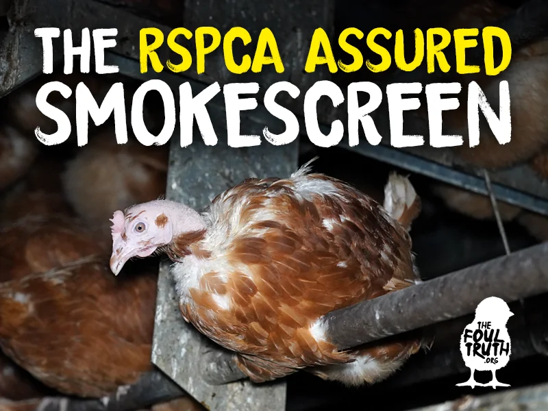 The RSPCA Assured Smokescreen