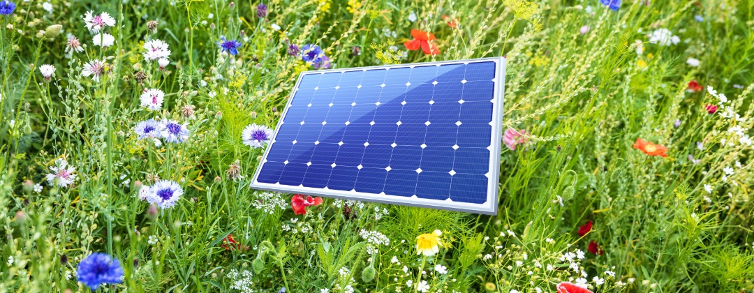 Solaranlage für Garten: Das sind die besten PV-Anlagen