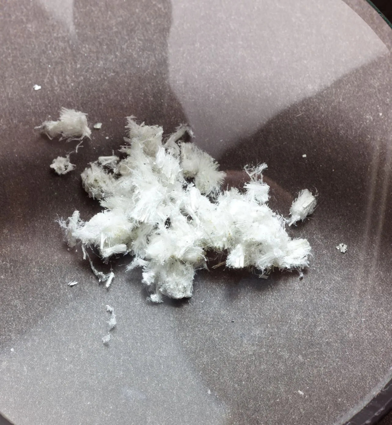 got mold?™ | Indoor Air Quality Professionals