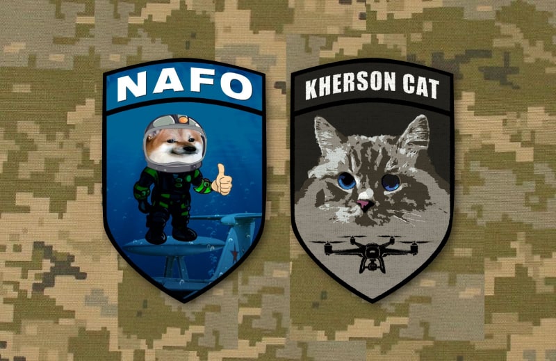 Special Kherson Cat 6th patches campaign