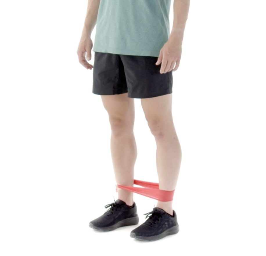 Cómo realizar el Monster Walk con banda - Physitrack