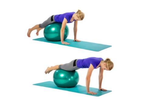 How to perform the Plank Ball - Physitrack