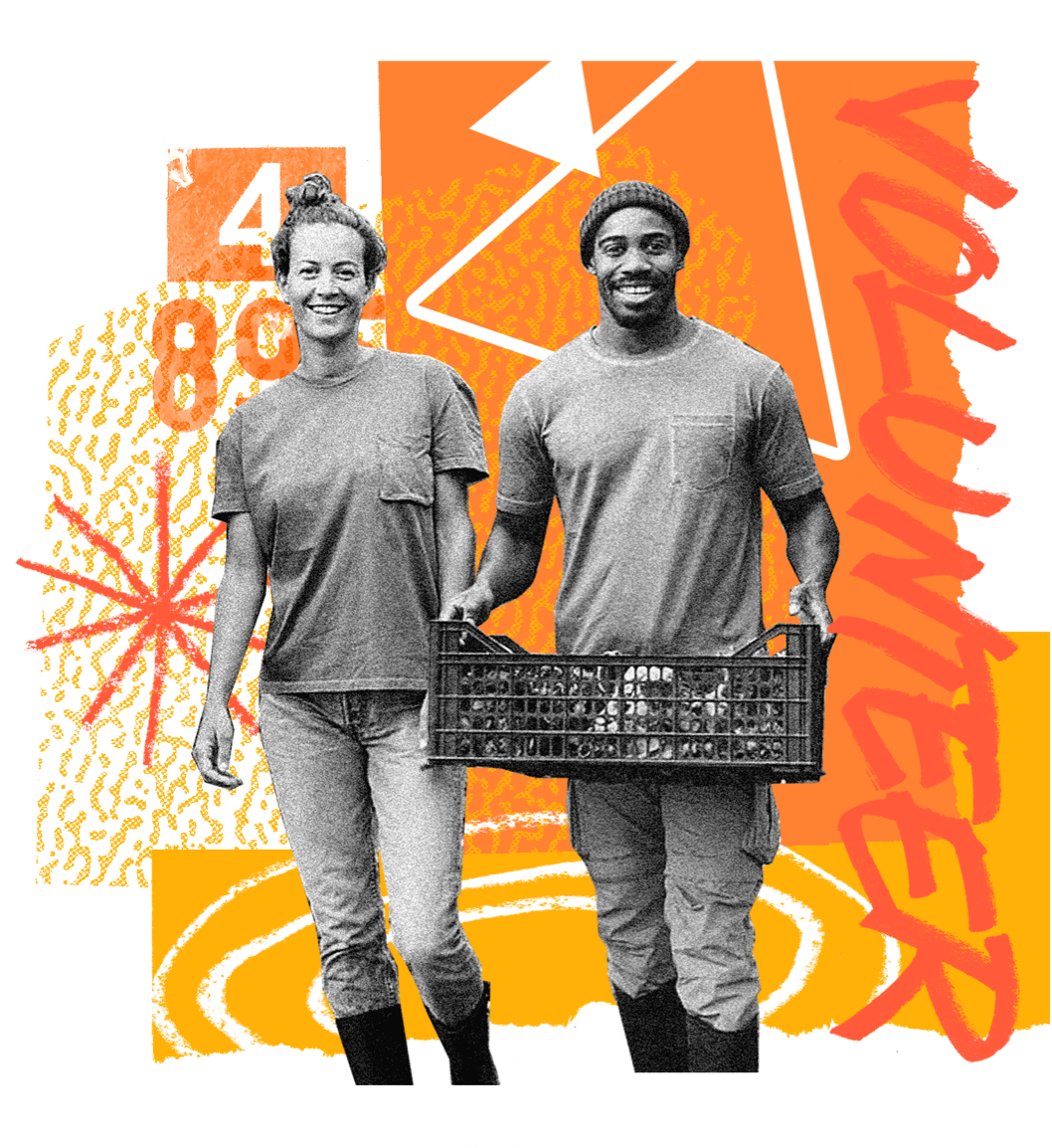 Corporate Volunteering Platform Software | Millie