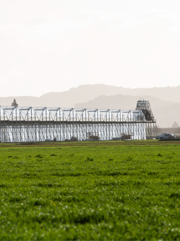 CPS Civil Project Solutions