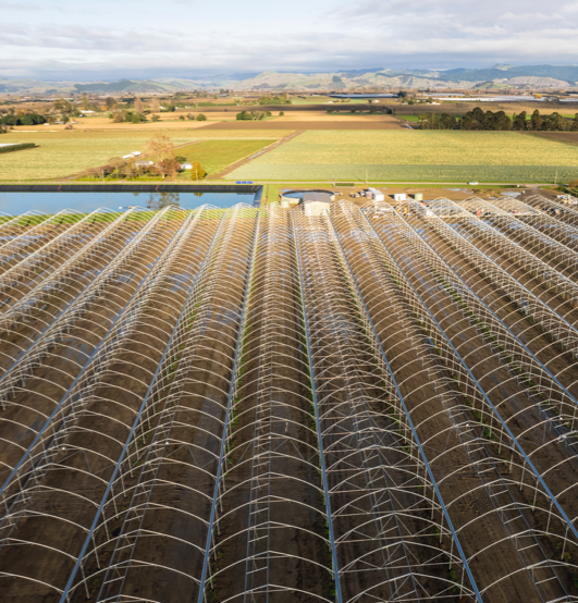 CPS Civil Project Solutions