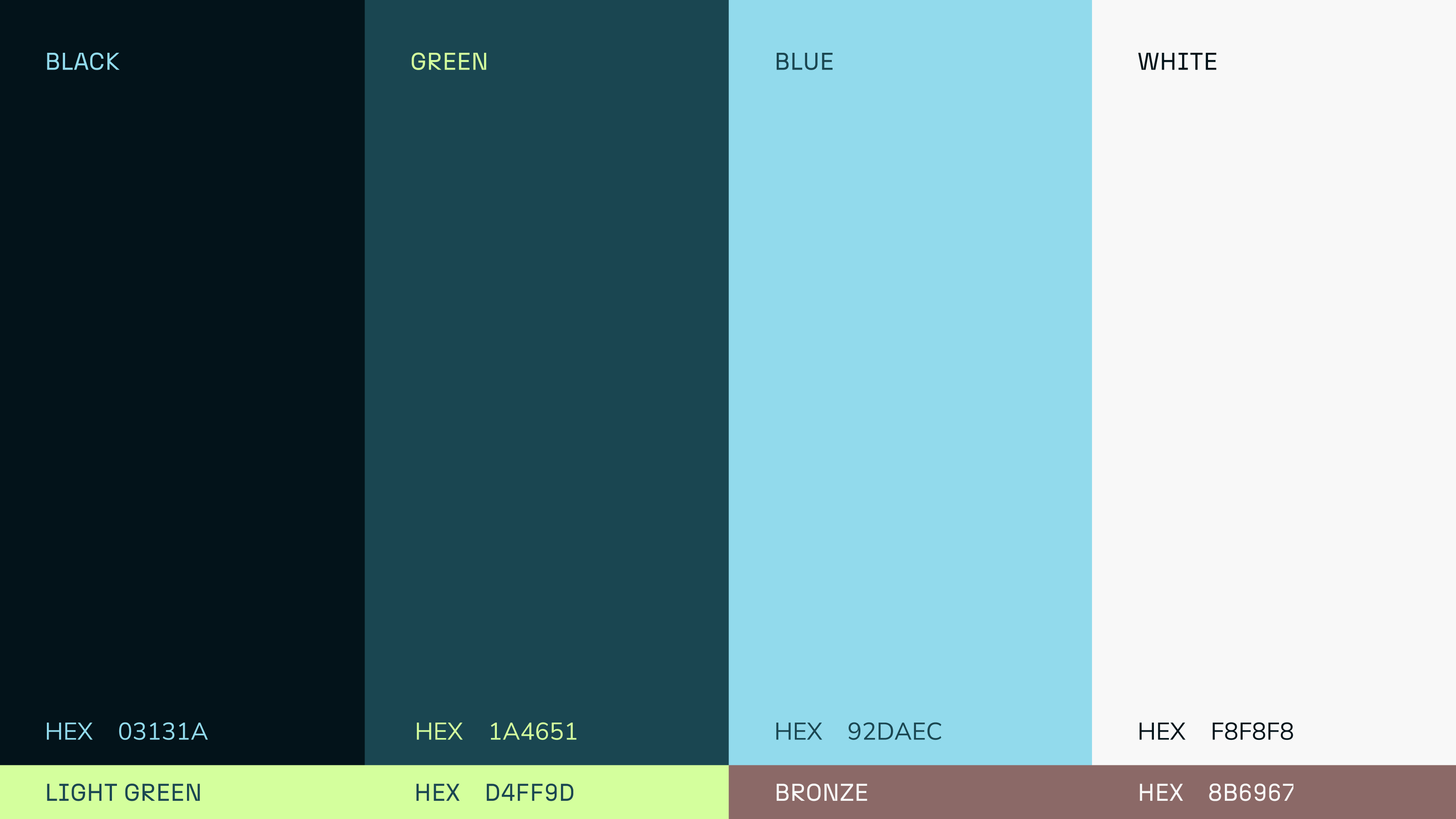 The Branx™: Branding Case Study for Paxafe