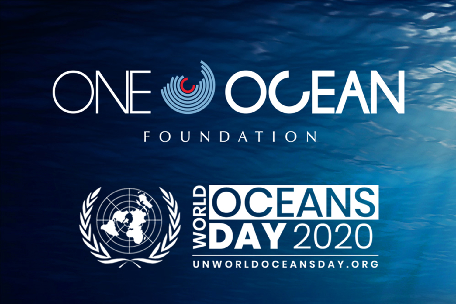 One Ocean Foundation at UN World Oceans Day | News | One Ocean Foundation