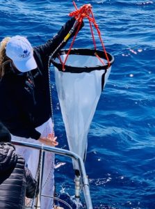 Canyon of Caprera | One Ocean Foundation