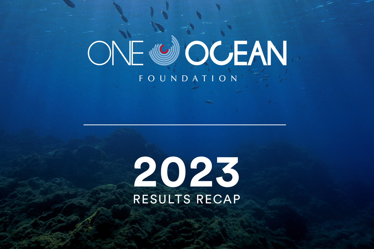 One Ocean Foundation's Impactful 2023 | News | One Ocean Foundation