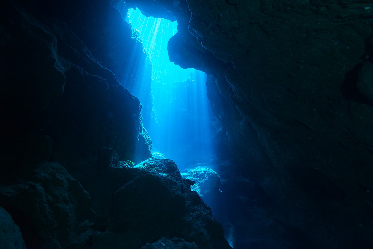 Submarine canyons: what they are and their importance for marine ...