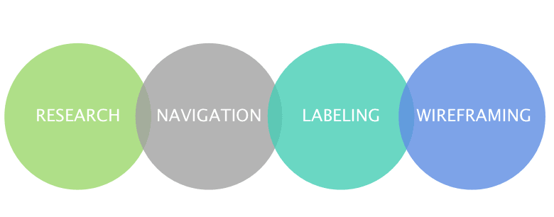 Information Architecture for Web Design: the Big Picture [2024]