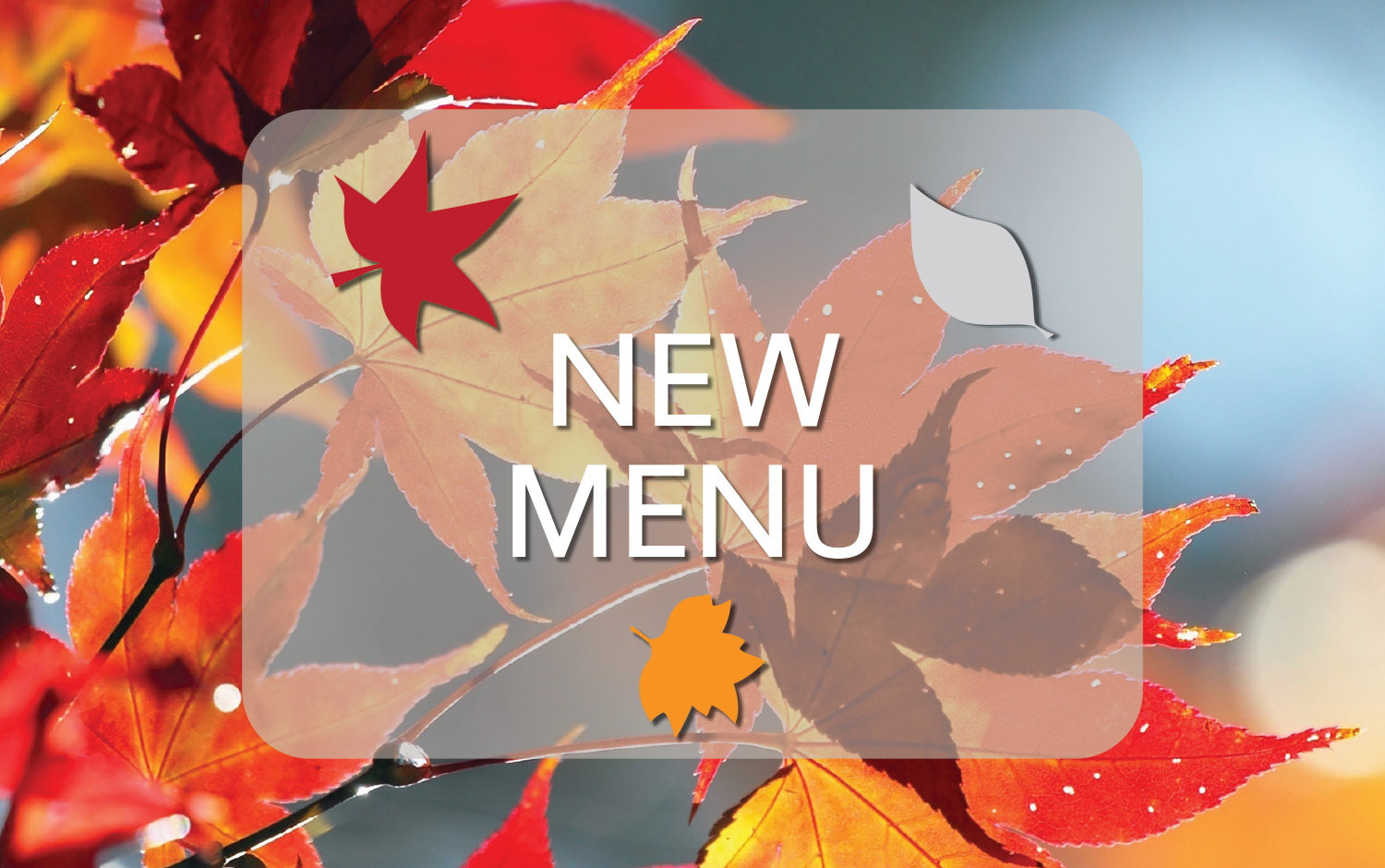 New Obicà Menù is here! | Obicà Mozzarella Bar