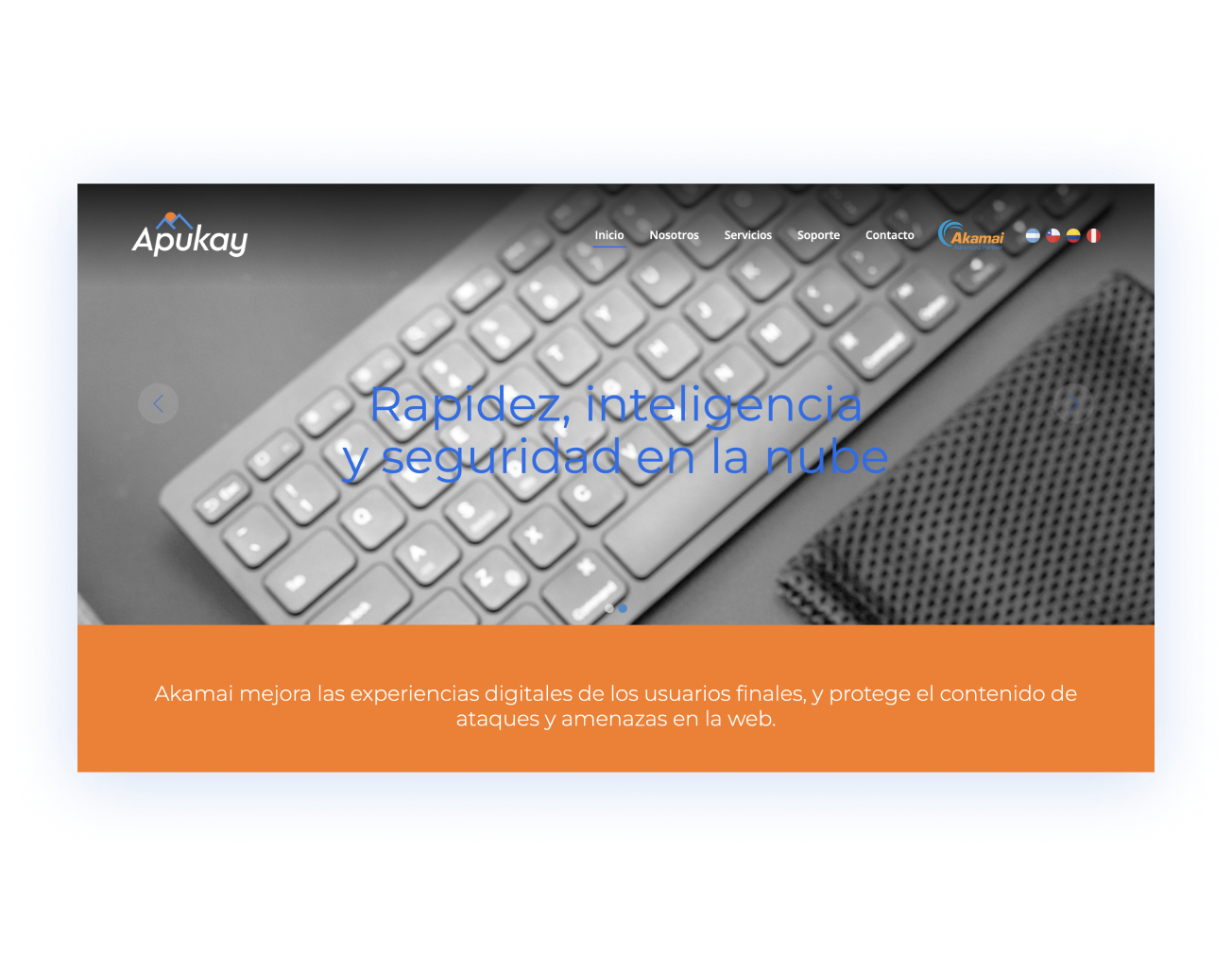 Scaleflex's Partner - Apukay