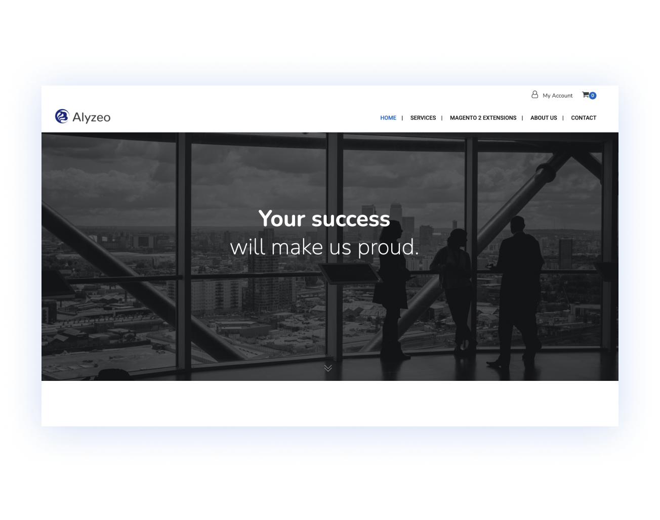 Scaleflex's Partner - Alyzeo