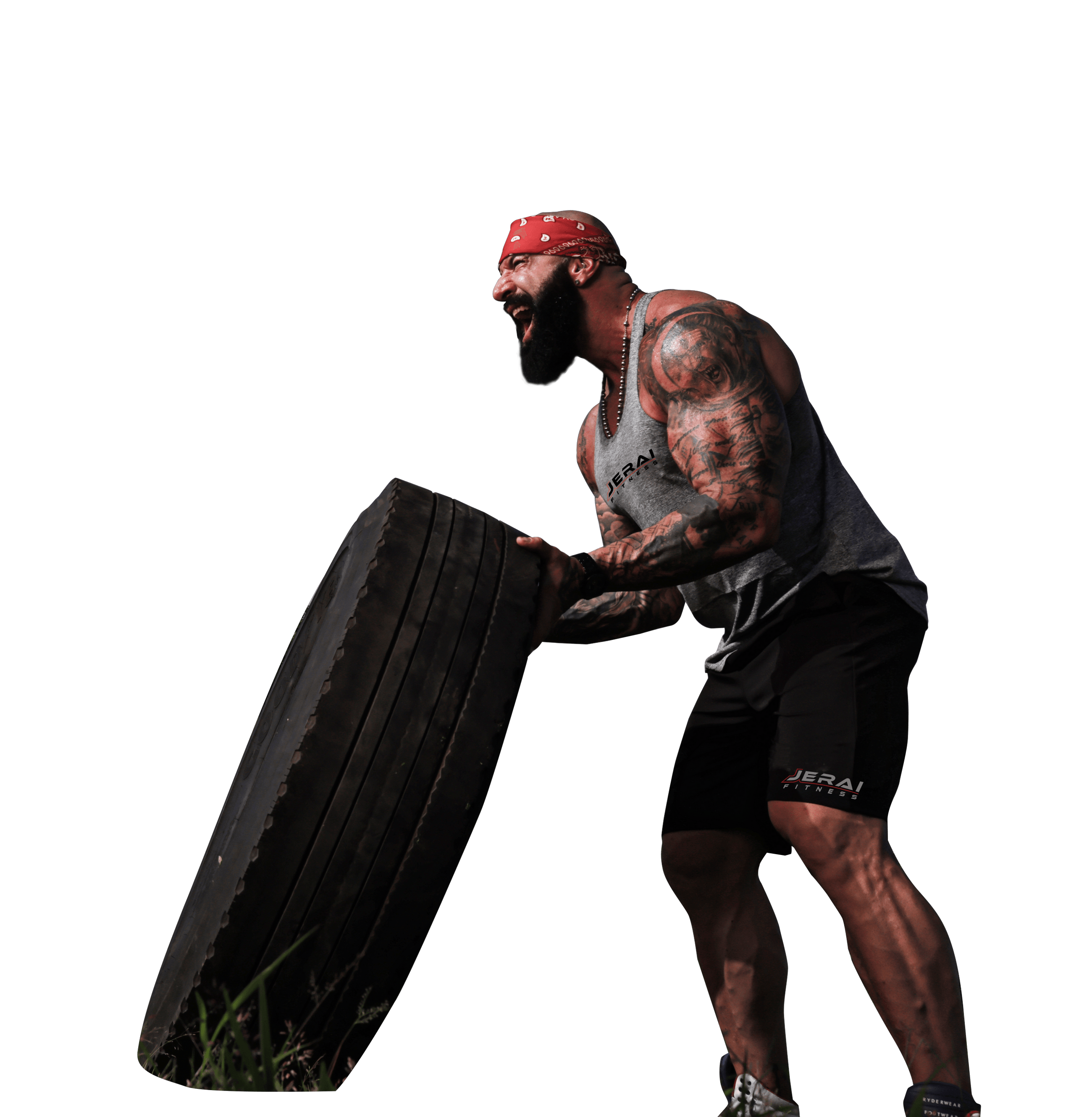 Gym Equipment | Elevate Your Workouts with Premium Fitness Equipment ...