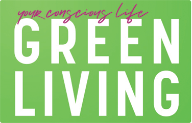 Contact Sesshu Design | Arizona's Premiere Wellness Interior Design Firm