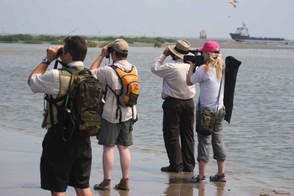 How Many Birds Are There In The World? - Bird Buddy Blog