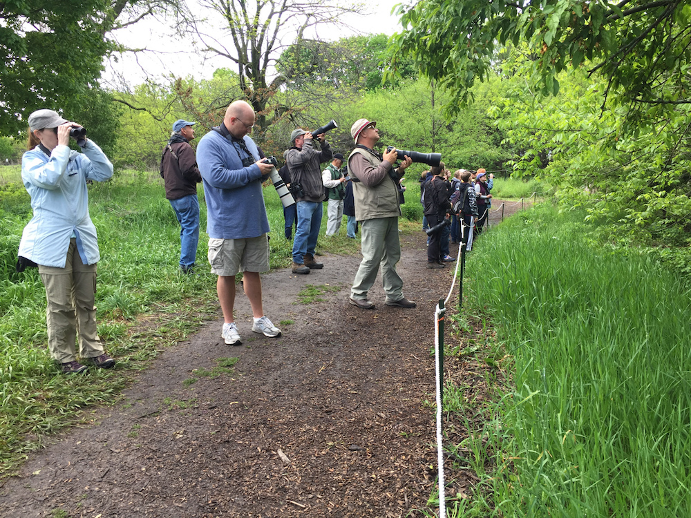 Wildlife Photography » Meet Bird Photographer Owen Deutsch - Bird Buddy ...