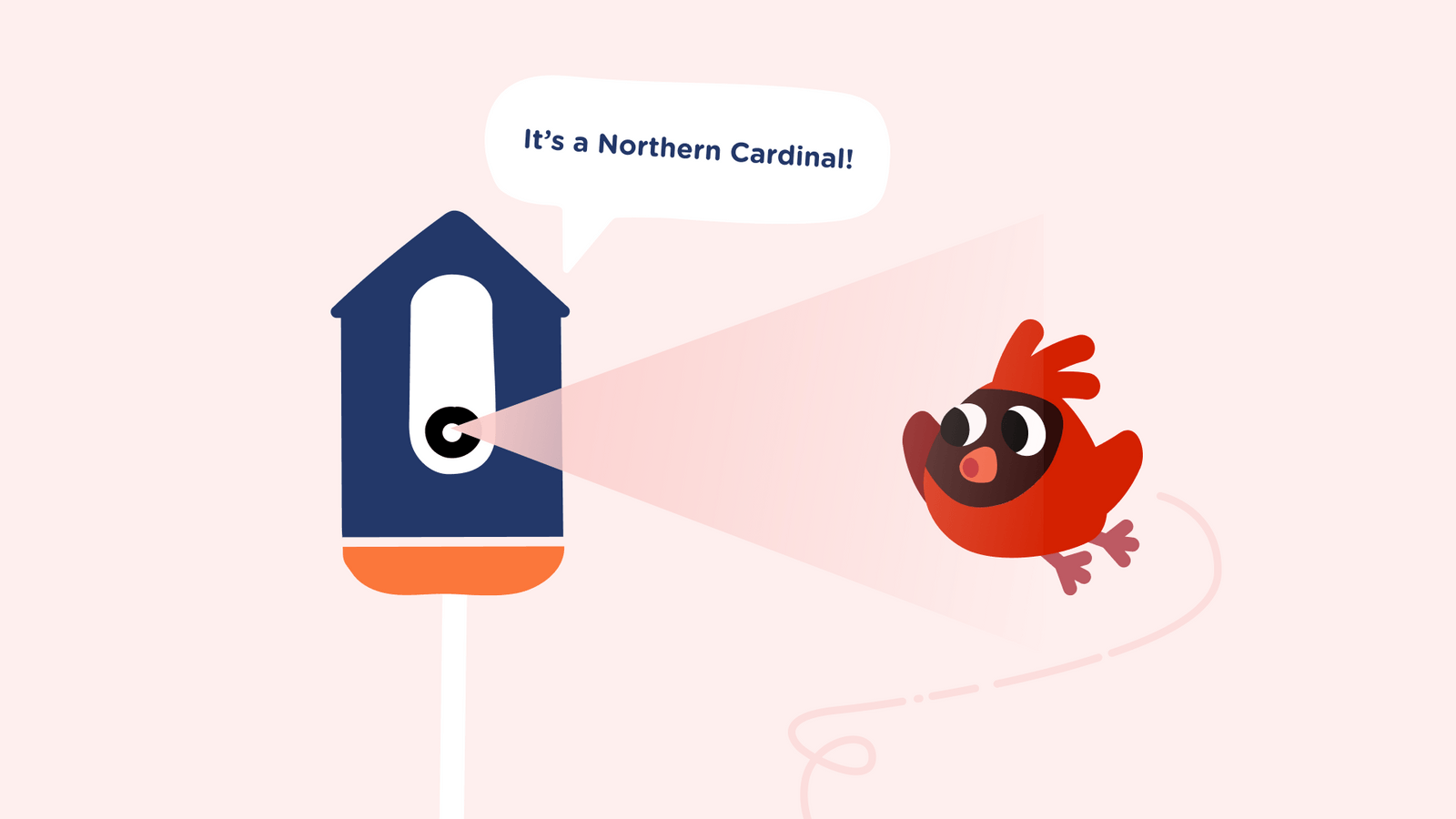 How does Bird Buddy machine learning bird recognition works - Bird ...