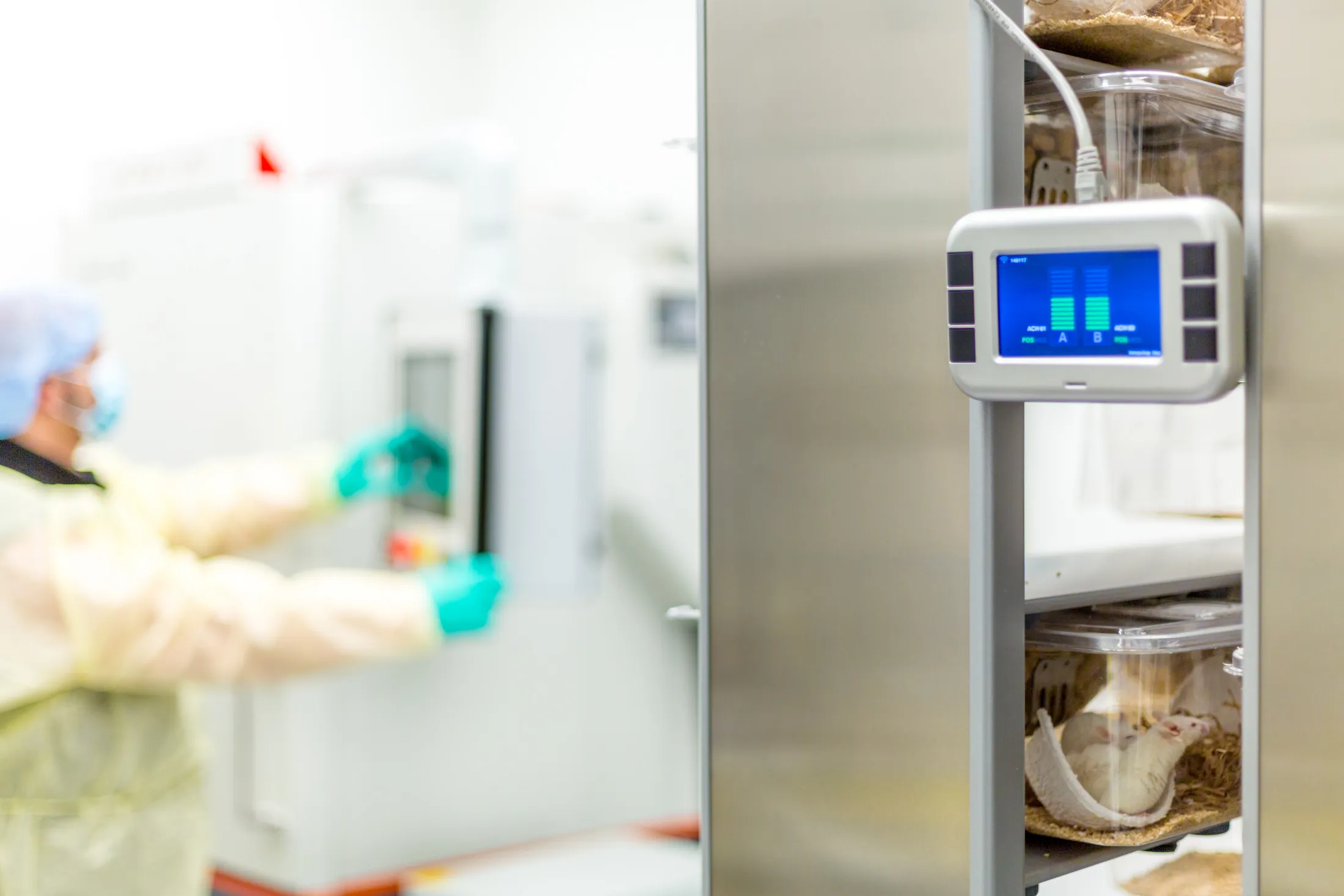 In Vivo Animal Models & Research At Our Vivariums | Mispro