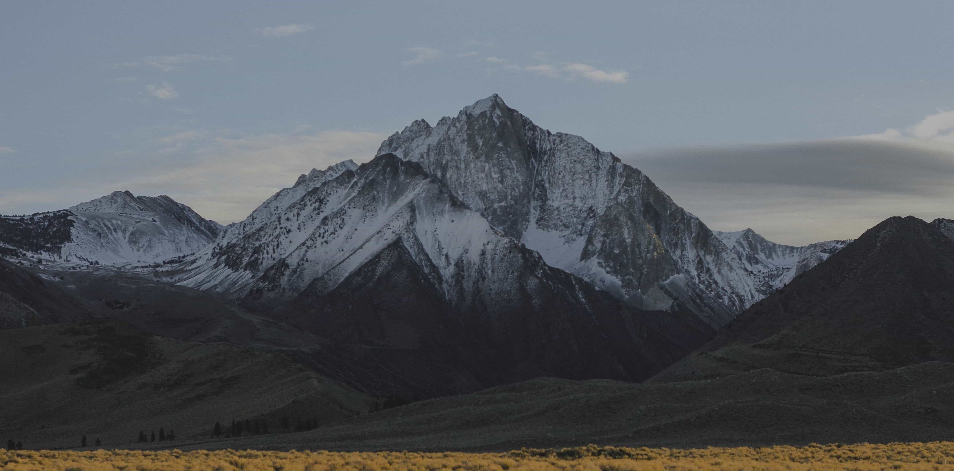 ServiceNow Version Timeline | Snowycode