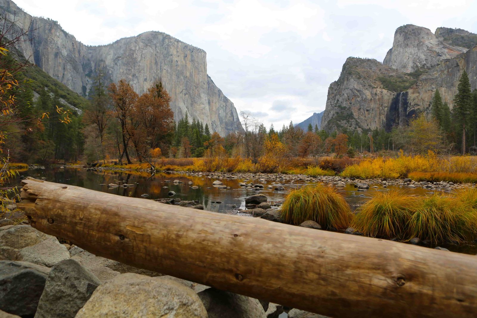 How To Use gs.log In ServiceNow | Snowycode