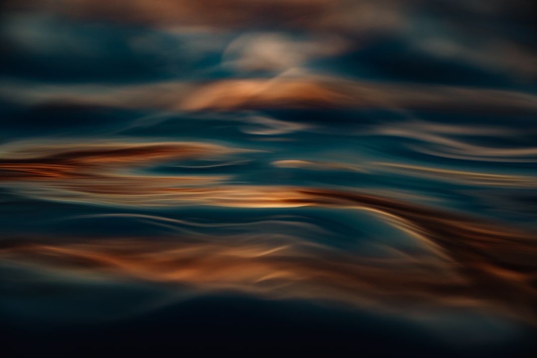 How To Auto Populate The Current User In ServiceNow | Snowycode