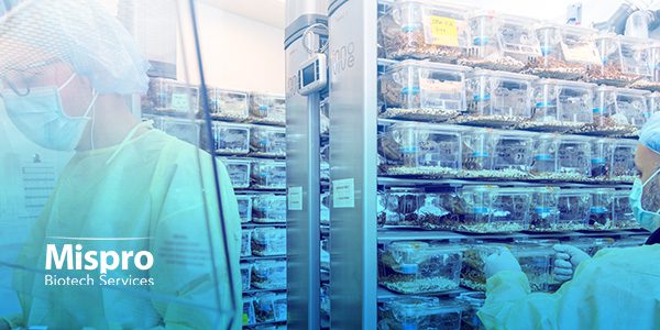 Mispro Announces New Location in Waltham Biopharma Cluster | Mispro