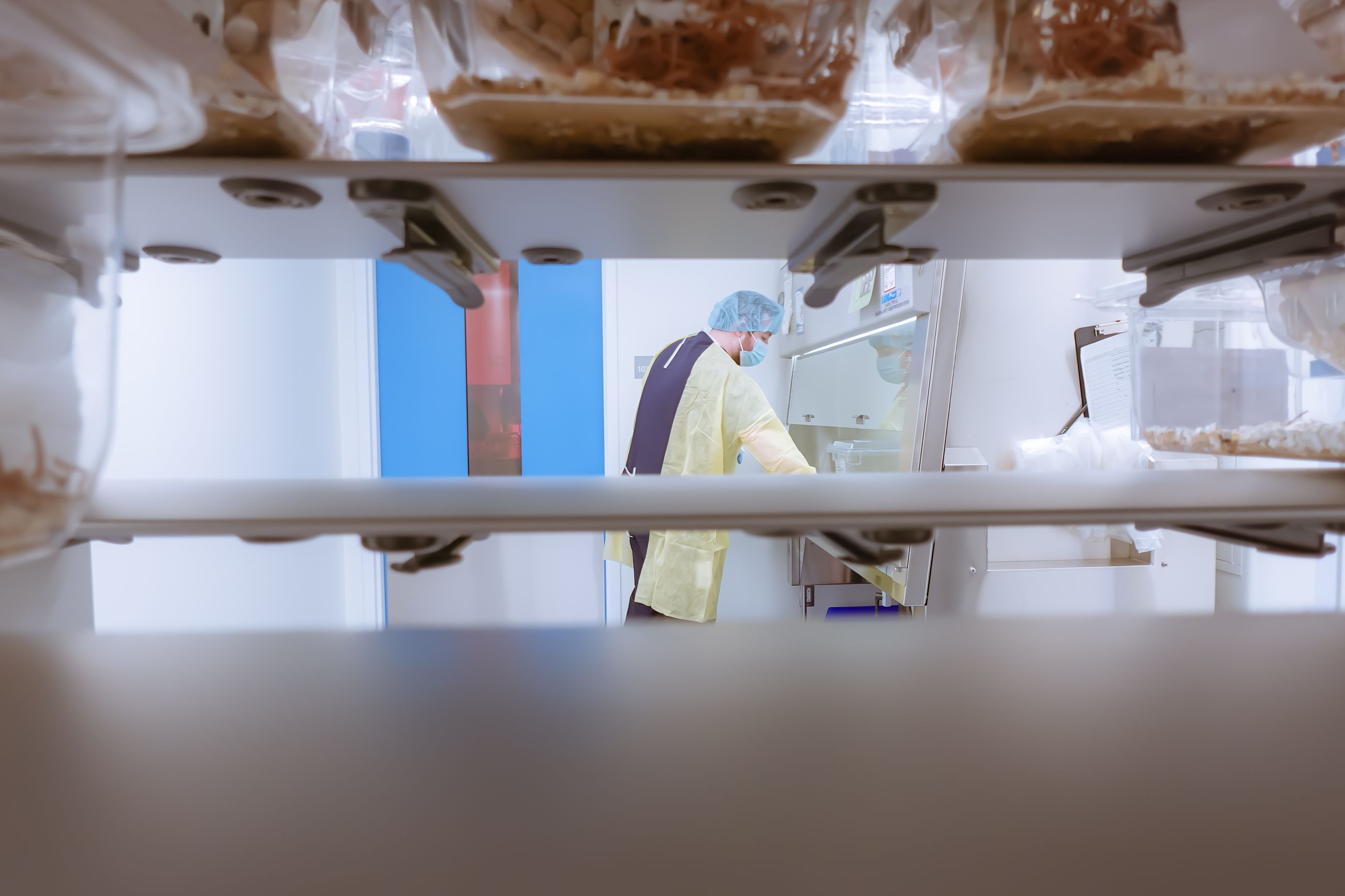 Mispro Biotech | Contract Vivarium & Preclinical Research Services