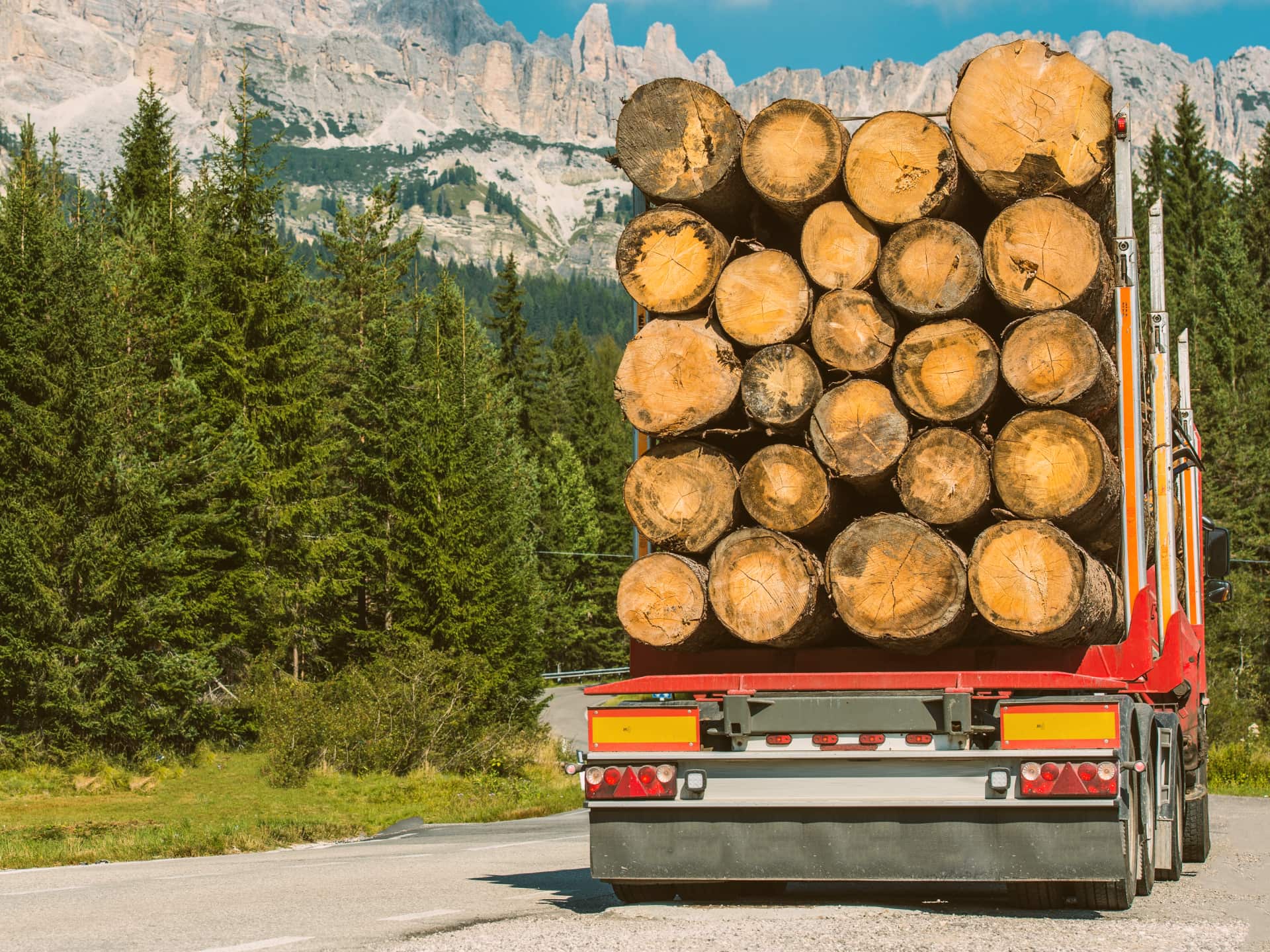 Seamless Timber Transit and Management — Forest Logistics | GoRamp
