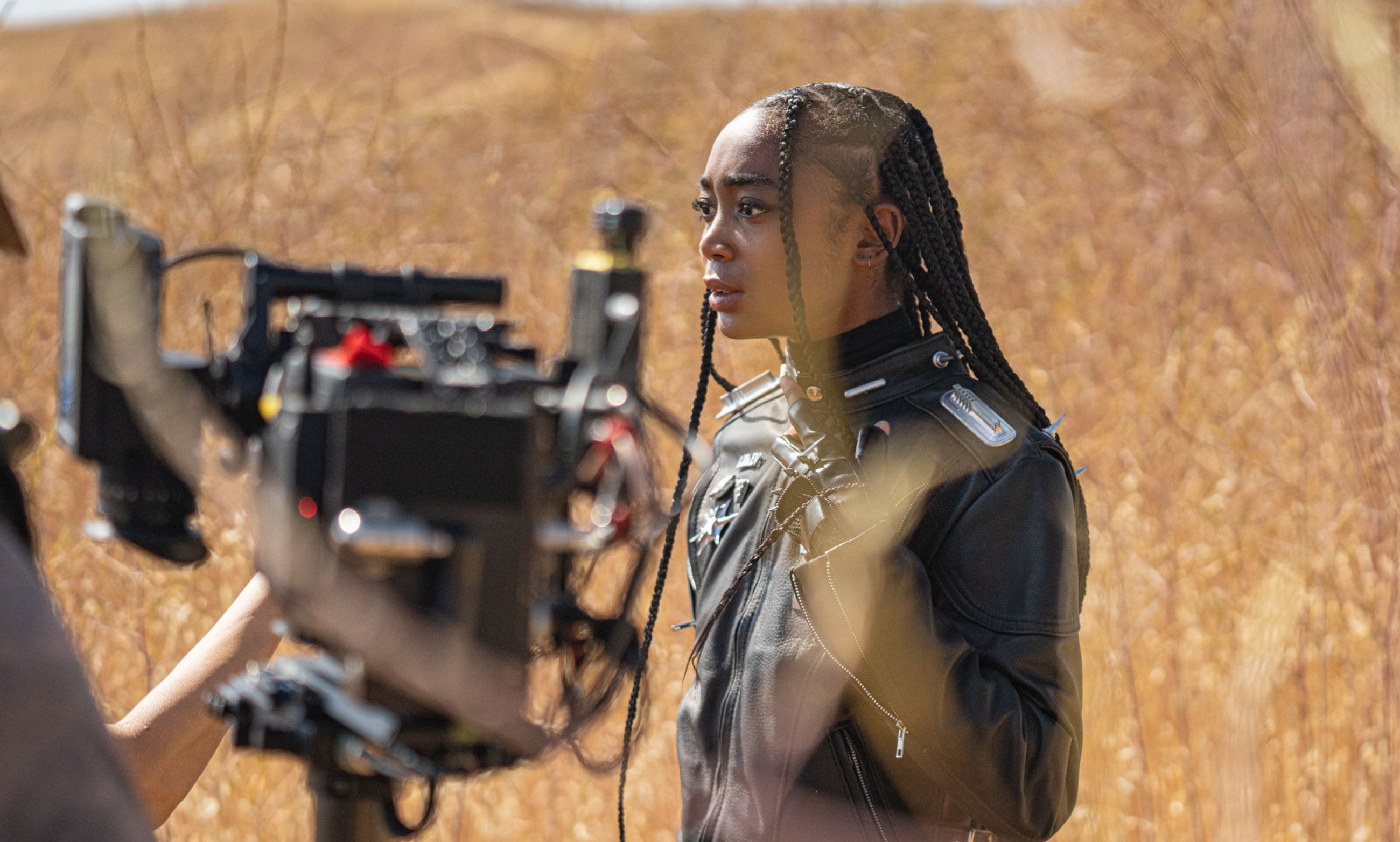 Portfolio of Devon Stern