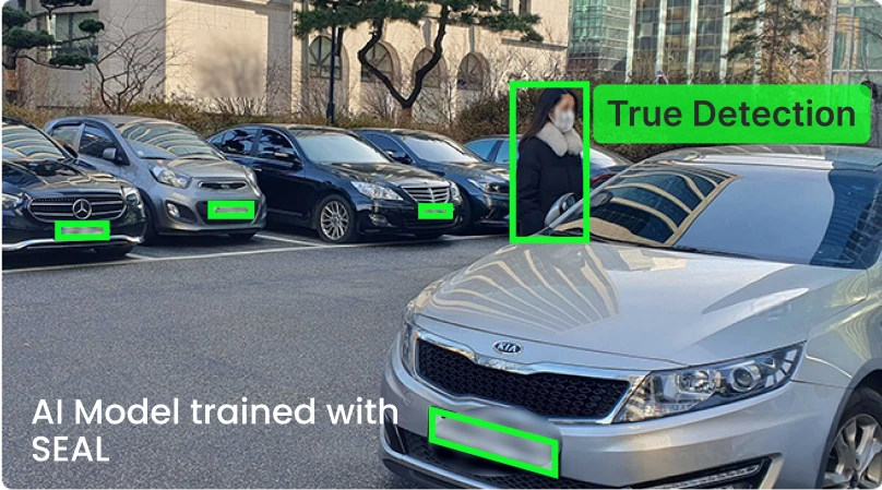 DeepingSource-SEAL: Privacy-preserving AI Video Analytics