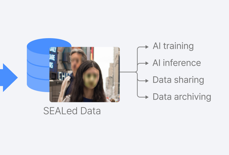 DeepingSource-SEAL: Privacy-preserving AI Video Analytics
