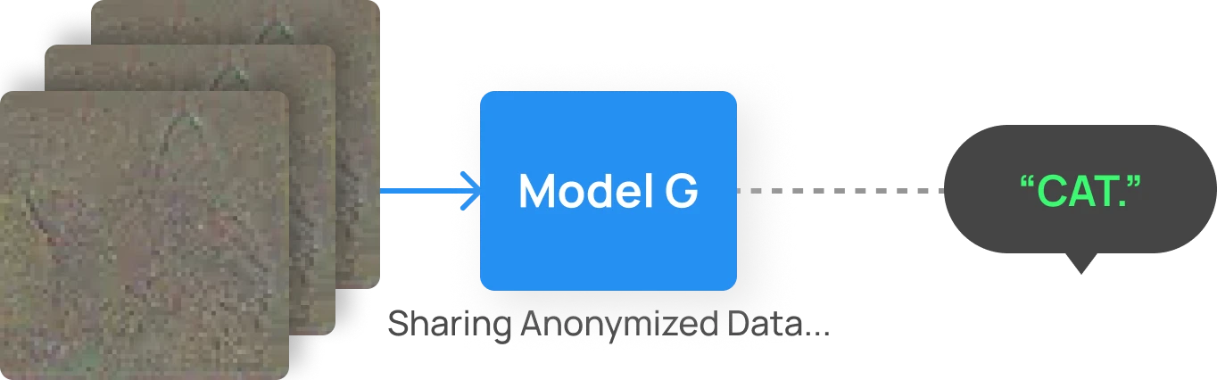 Deeping Source-Anonymizer: Privacy-preserving AI Video Analytics