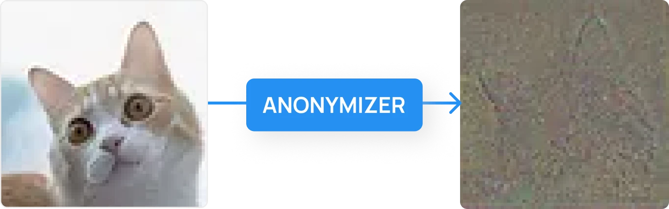 Deeping Source-Anonymizer: Privacy-preserving AI Video Analytics
