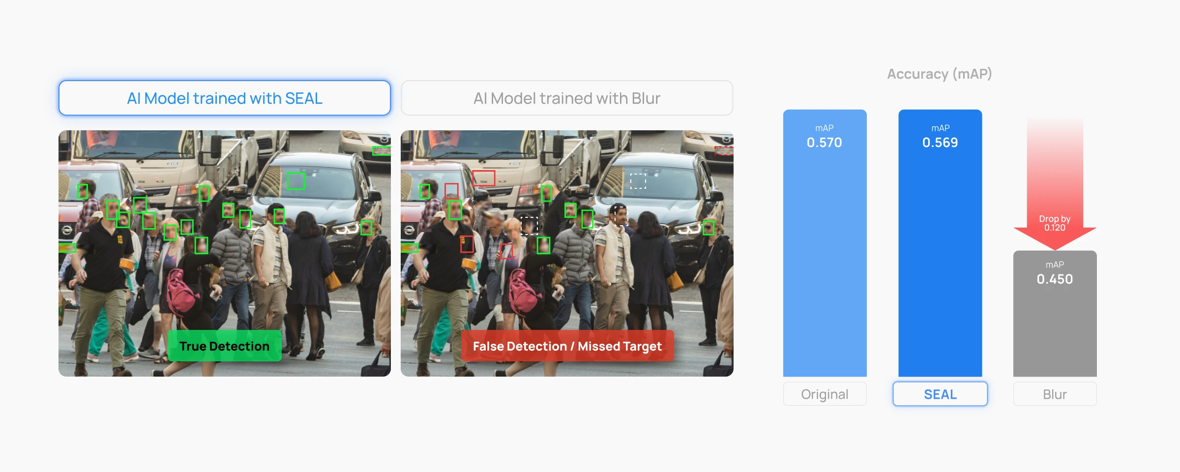 DeepingSource-SEAL: Privacy-preserving AI Video Analytics