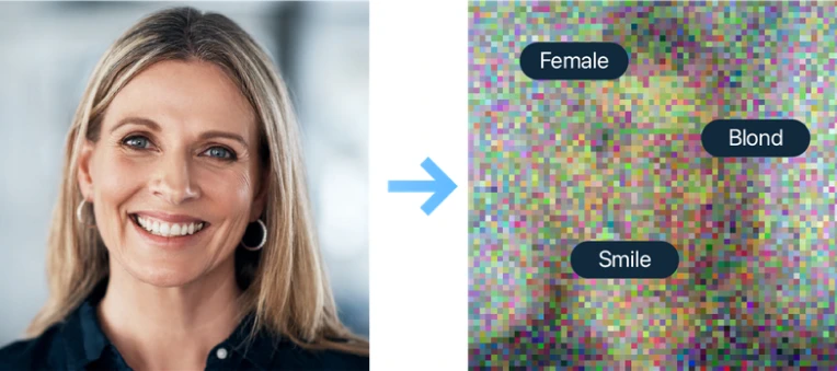 Deeping Source: Privacy-preserving AI Video Analytics