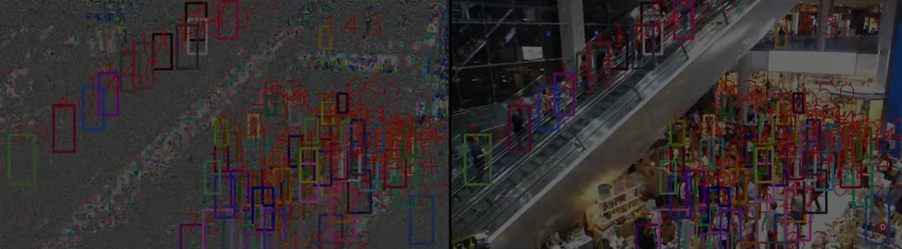 Deeping Source: Privacy-preserving AI Video Analytics