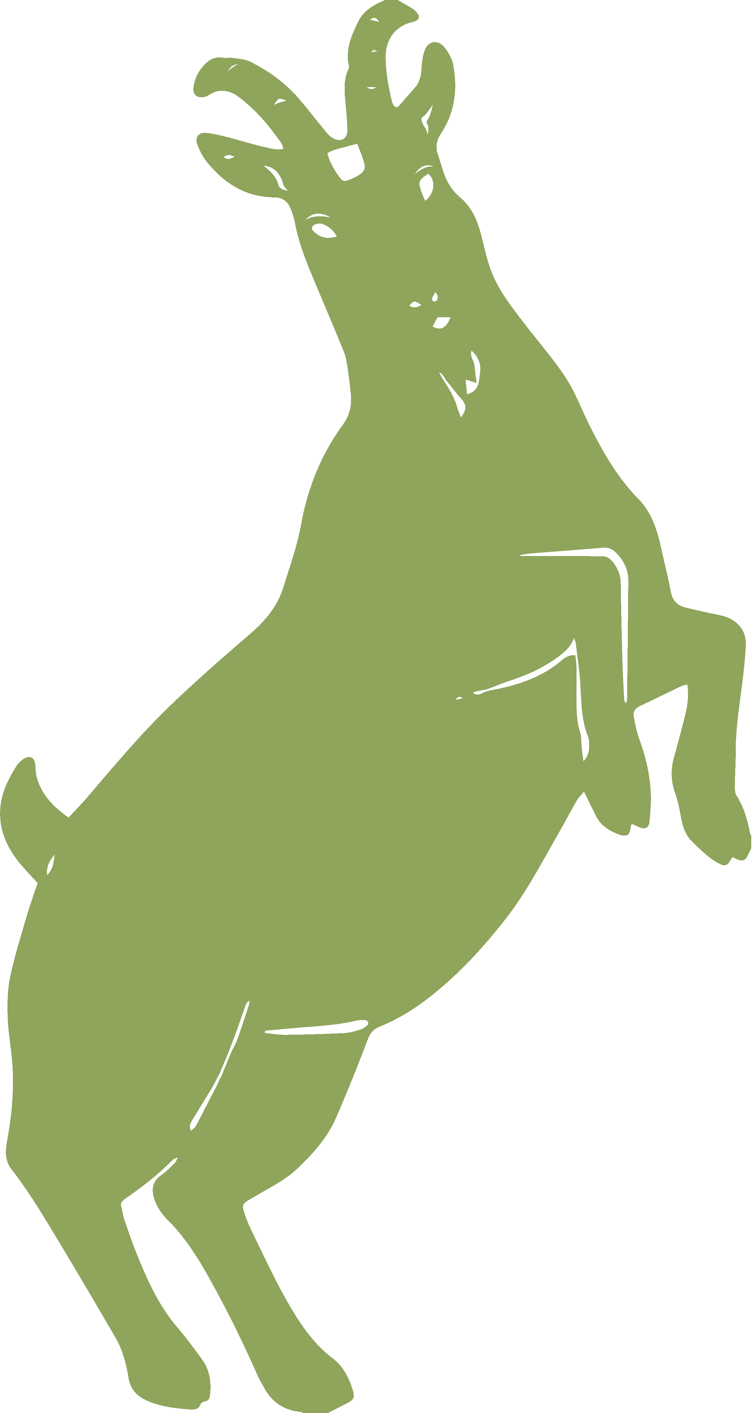 Dancing Goat Gardens Dispensary Recreational & Medical Marijuana Menu