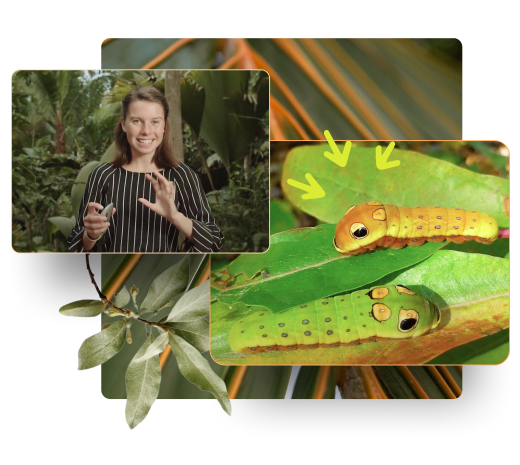 AimHi Earth | Transformative Sustainability Training